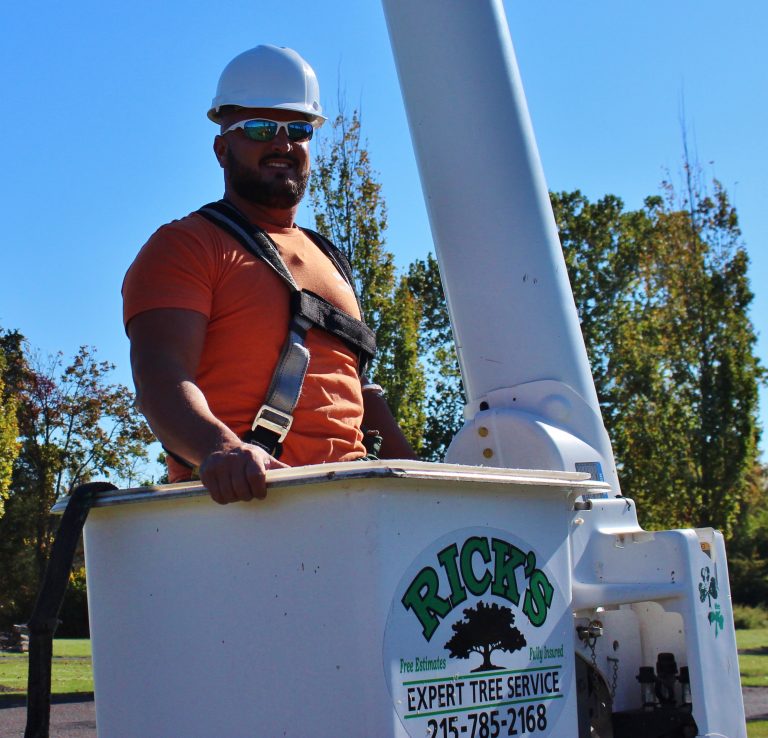 Ricks Expert Tree Service | – Tree Services in Bucks County, PA